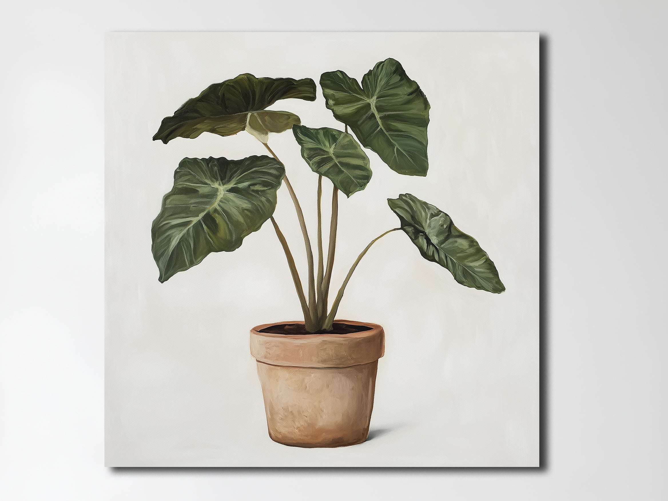 Pot Plant – TBLS - The Blue Lagoon Studio