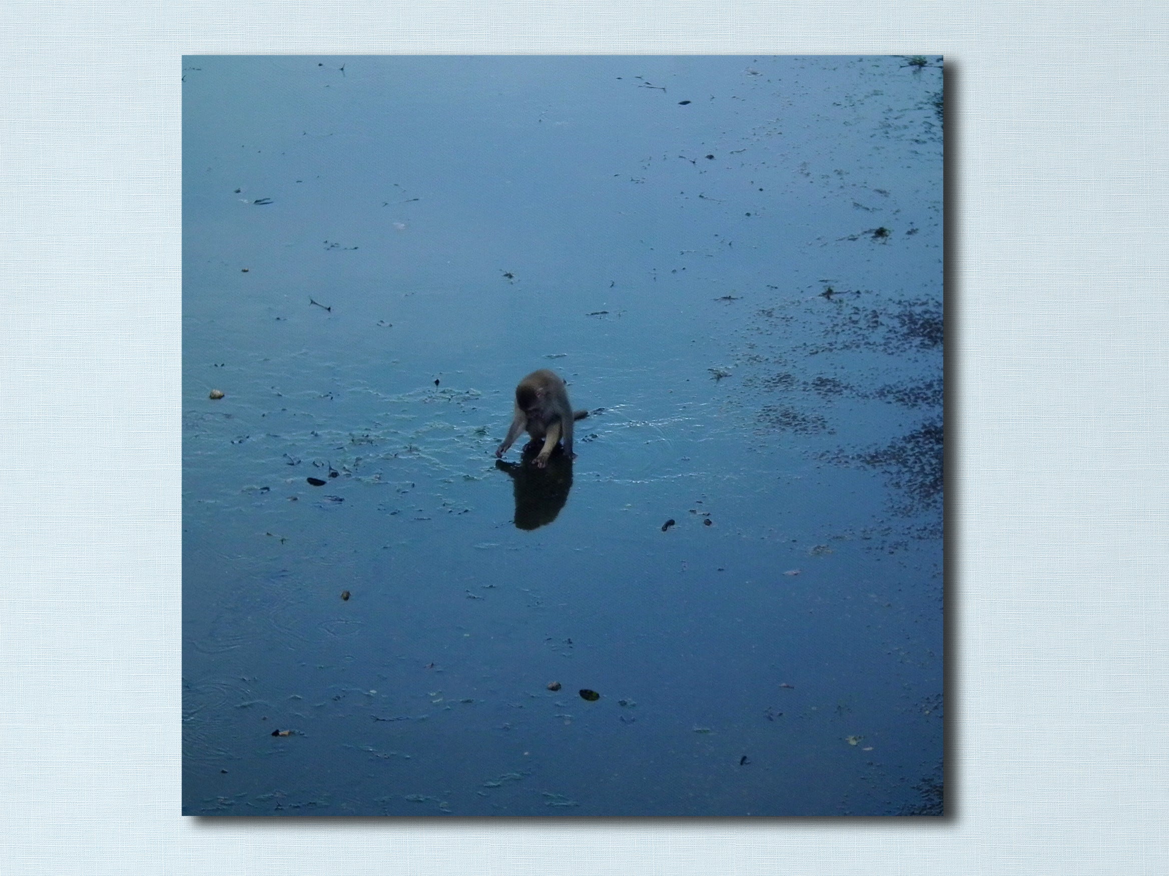 20120701 – TBLS - The Blue Lagoon Studio