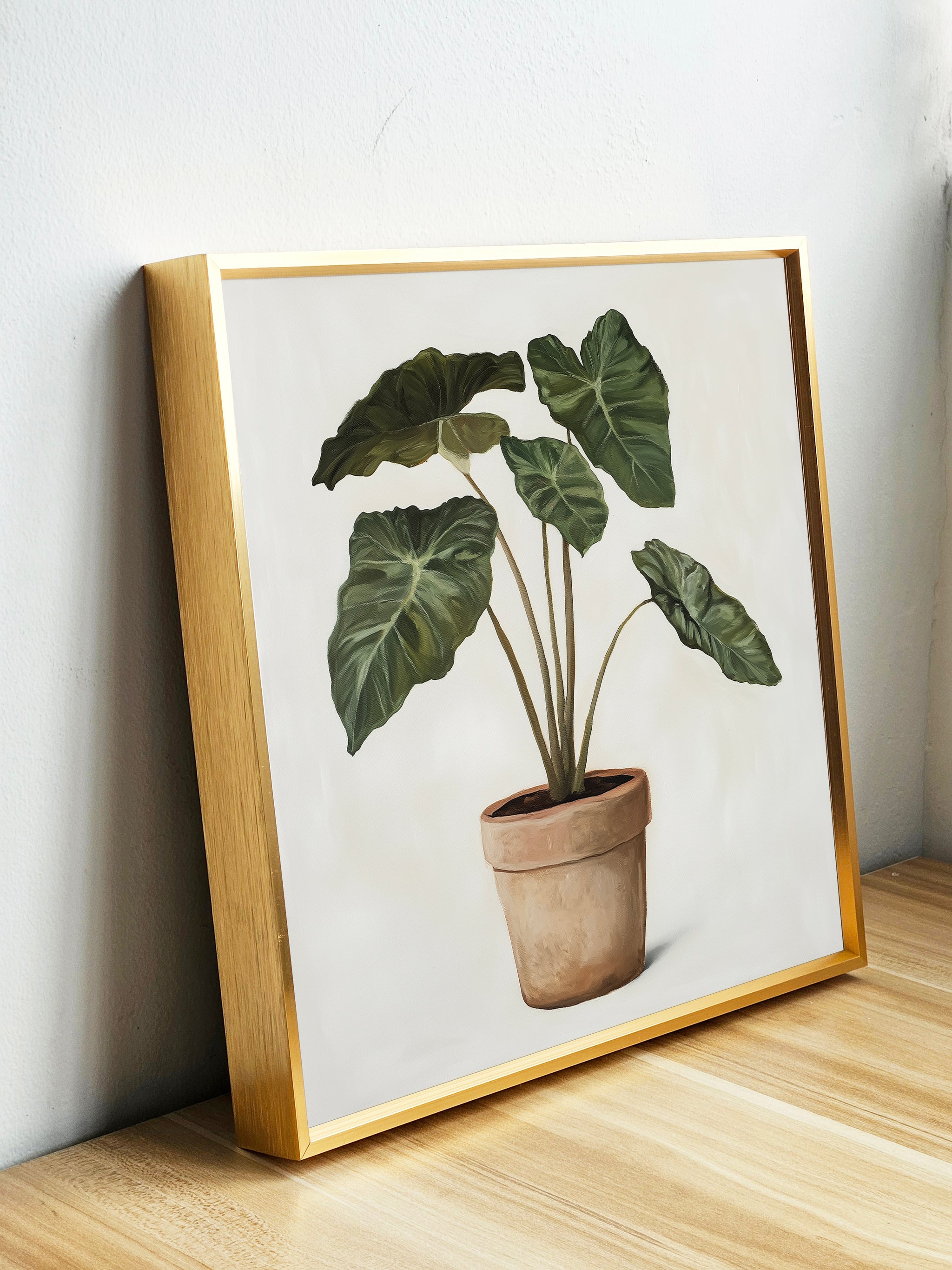 Alocasia 1 – TBLS - The Blue Lagoon Studio