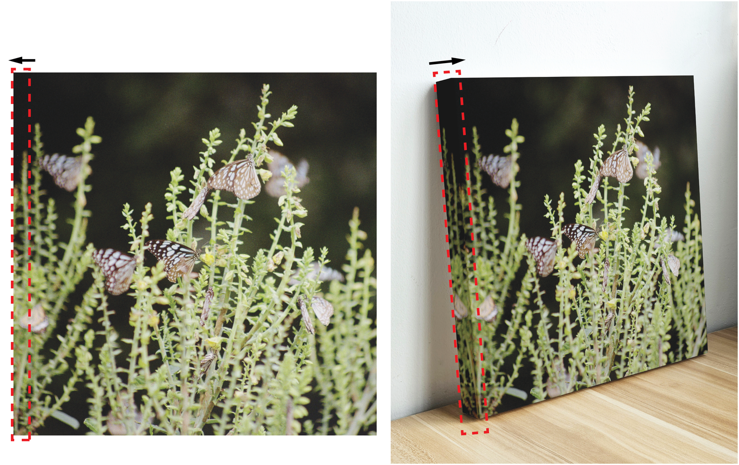 About Art & Canvas – TBLS - The Blue Lagoon Studio